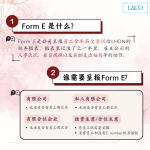 Form E 常见问题 | 电子呈报教程 - L&Co