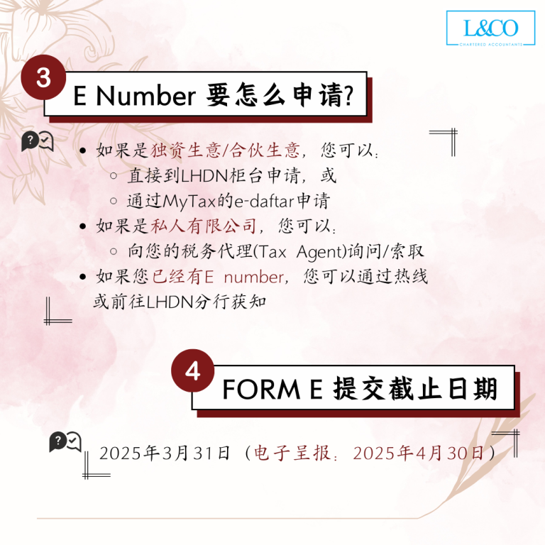 Form E 常见问题 | 电子呈报教程 - L&Co