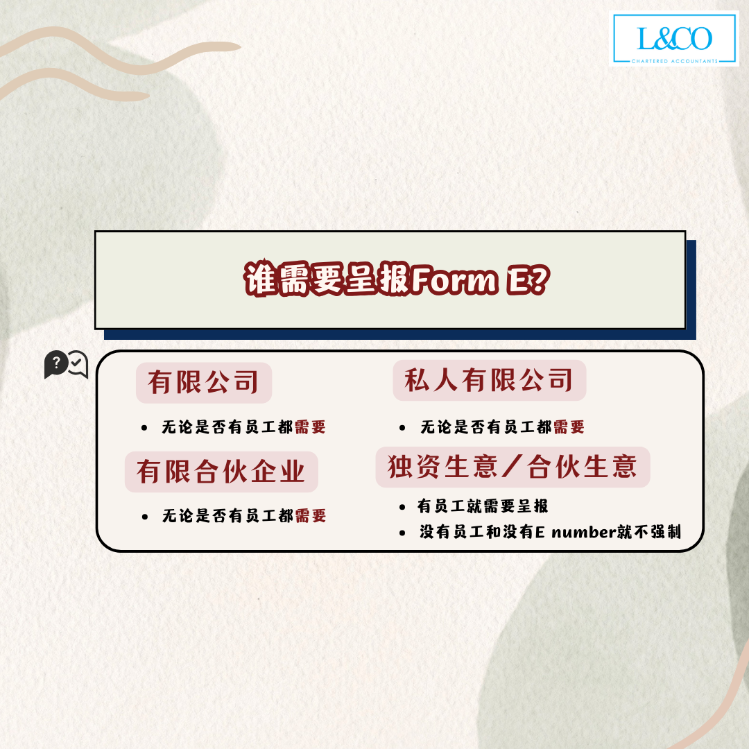 Form E 常见问题 | 电子呈报教程 - L&Co