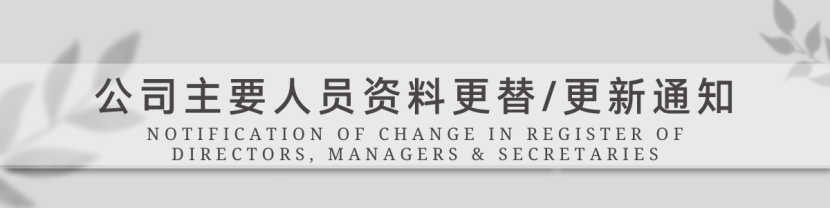 SSM新旧表格对比大全 - L & Co