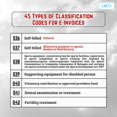The 45 Types of Classification Codes for e-Invoice - L&CO