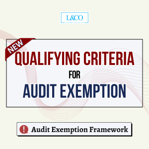 【Latest】New Qualifying Criteria for 2025 Audit Exemption !! - L & Co ...