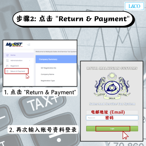 【一分钟看懂】SST线上呈报全流程 - L & Co