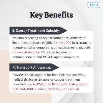 PeKa B40 Healthcare Scheme - L & Co Accountants