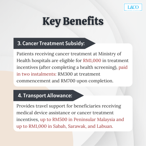 PeKa B40 Healthcare Scheme - L & Co Accountants