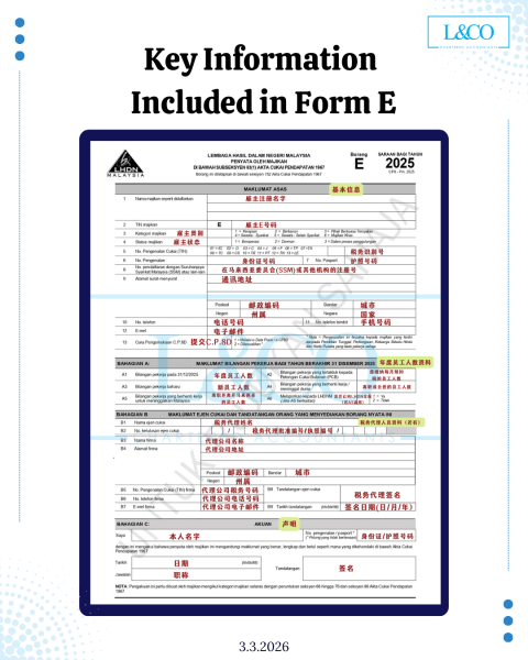 Malaysia Form E Submission Guide- L & Co Chartered Accountants